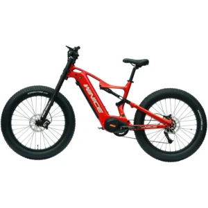 DengFu Winice Bikes-Home - Winicebikes